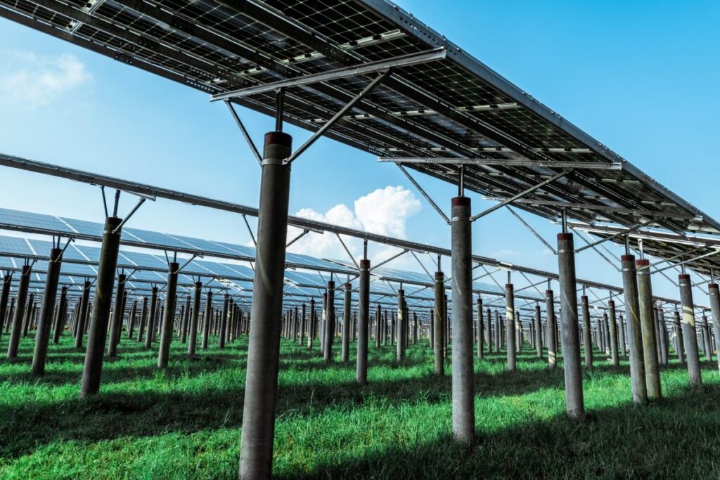 Energy Park: agrivoltaico, foresta urbana e biodiversità