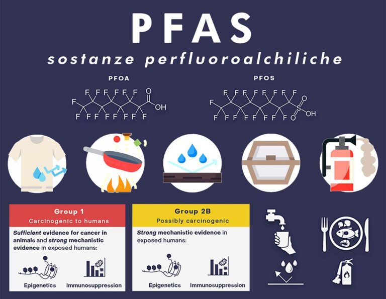 PFAS: cosa sono, dove si trovano ed effetti sulla salute
