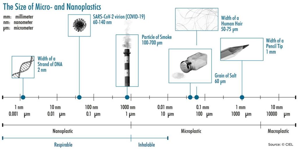 Microplastiche e nanoplastiche, che minacciano la salute